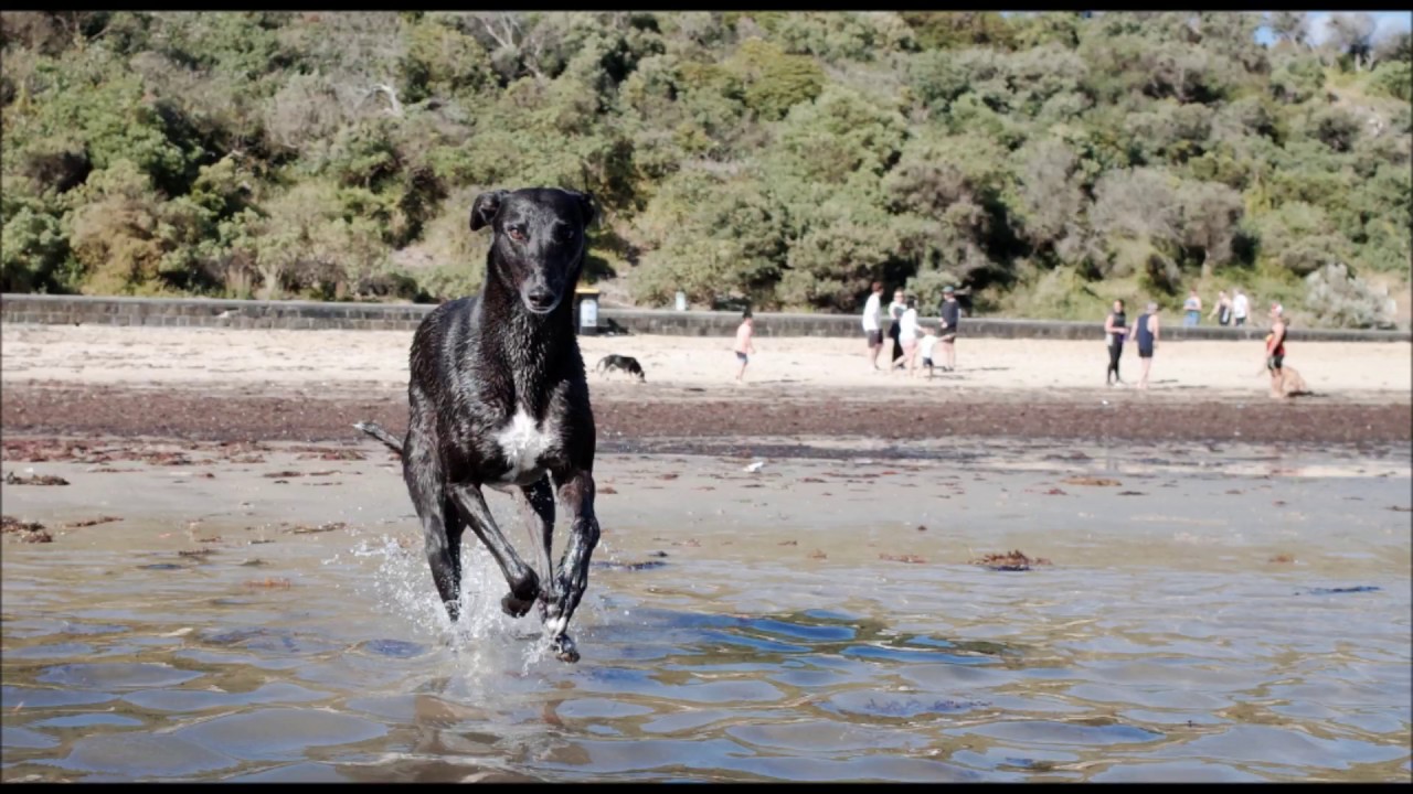 Billie Mac one year on. Life's good! - YouTube