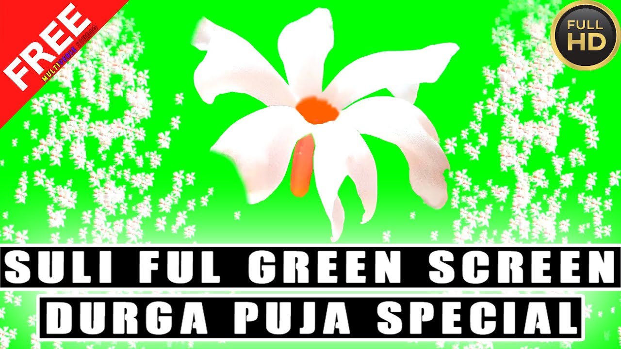 Suli Ful Green Screen | Durga Puja Special Chroma key - YouTube