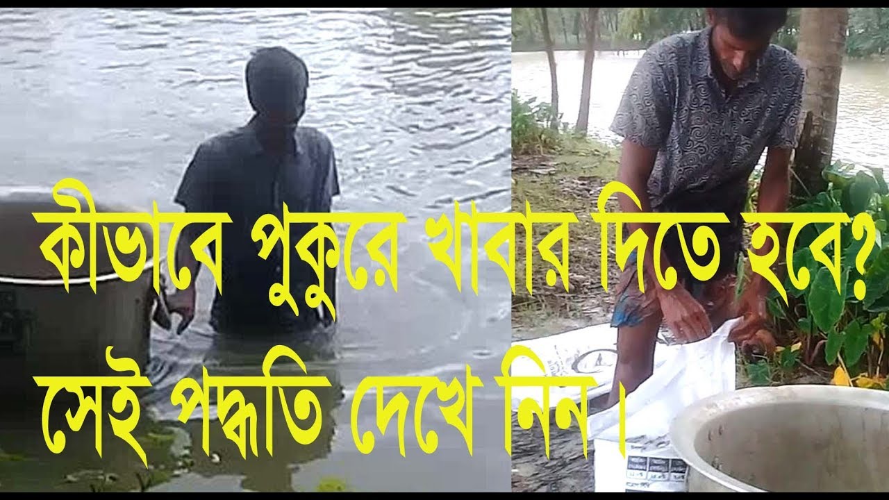 Fish farming in bangladesh and indoor fish farming in bangladesh - YouTube