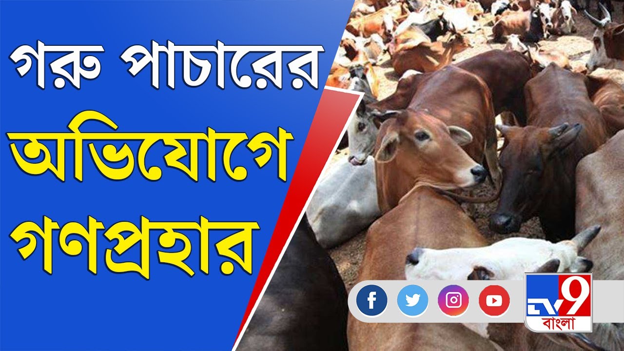 Cow Smuggling News: রাজগঞ্জে গরু পাচারের অভিযোগে গণপ্রহার দুষ্কৃতীদের ...