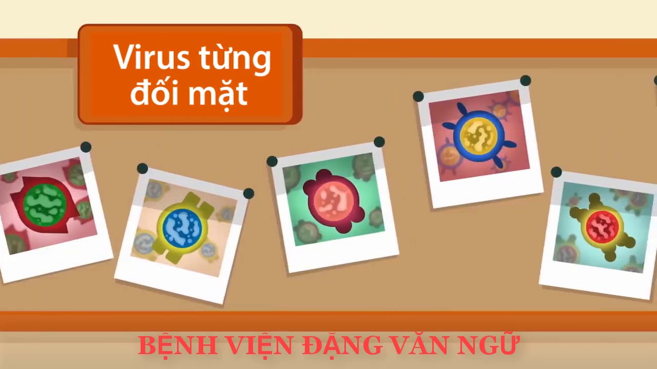 Cuộc chiến giữa hệ miễn dịch và virus - YouTube