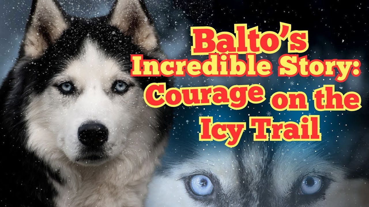The Dramatic Story of Balto: A Sled Dog's Heroic Journey - YouTube
