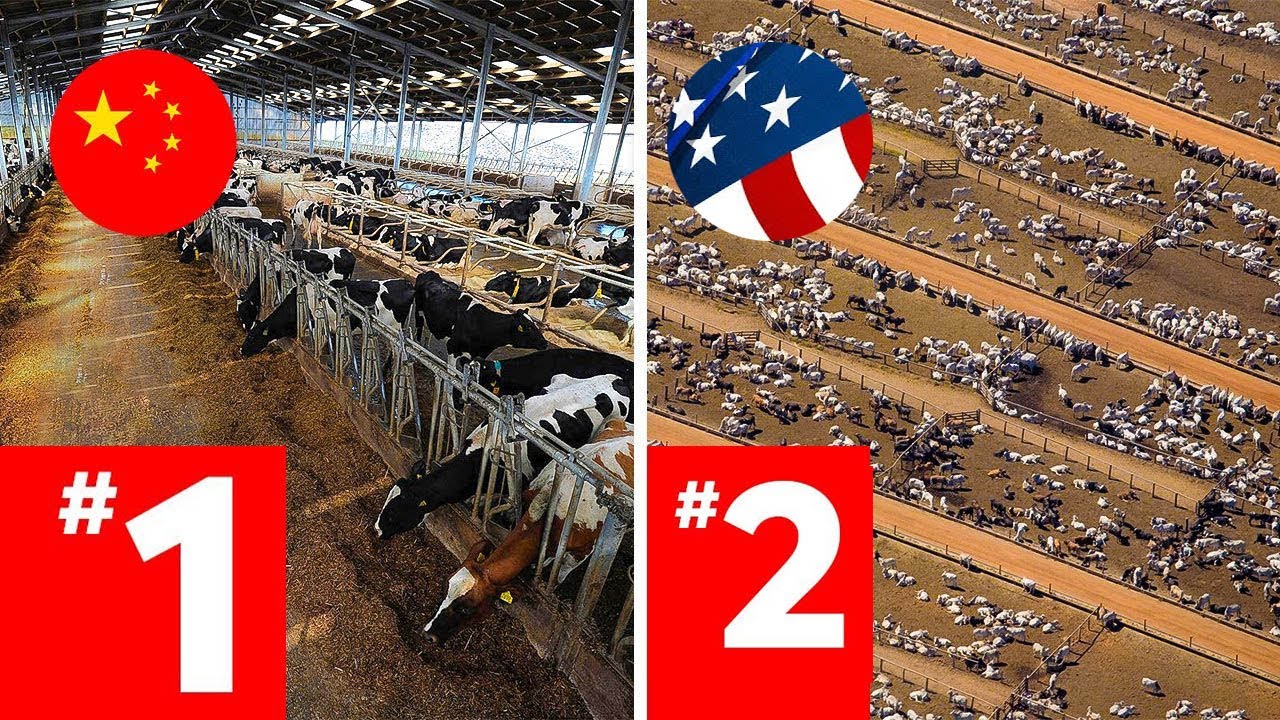 Intelligent Technology Pretty Girl Helicopter, UIA Flight Plane ...