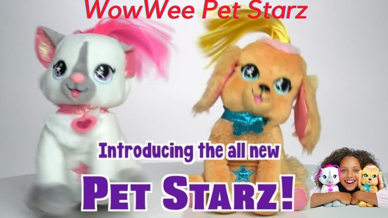 WowWee Pet Starz Catianna The Cat Dancing Rockstar Plush Doll - YouTube