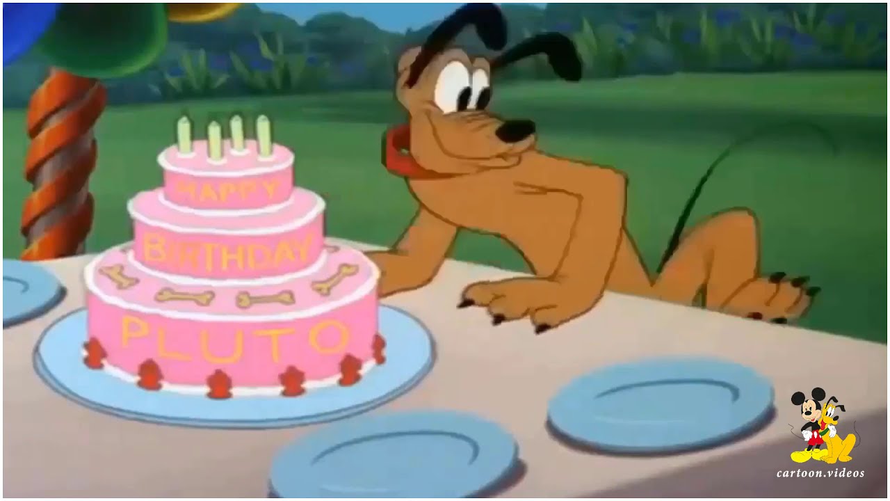 DISNEY CARTOON ღ | Donald Duck | Pluto's Party - YouTube