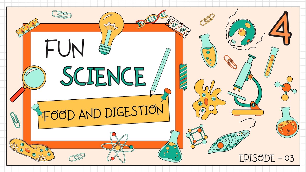 SCIENCE ll class 4 ll Chapter - 01 ll Parts - 03 - YouTube