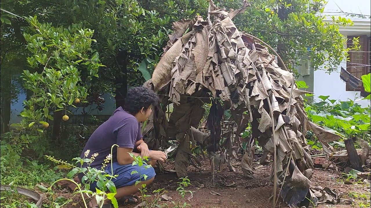 primitive technology hut making|| premitive technology house 🏠 ...