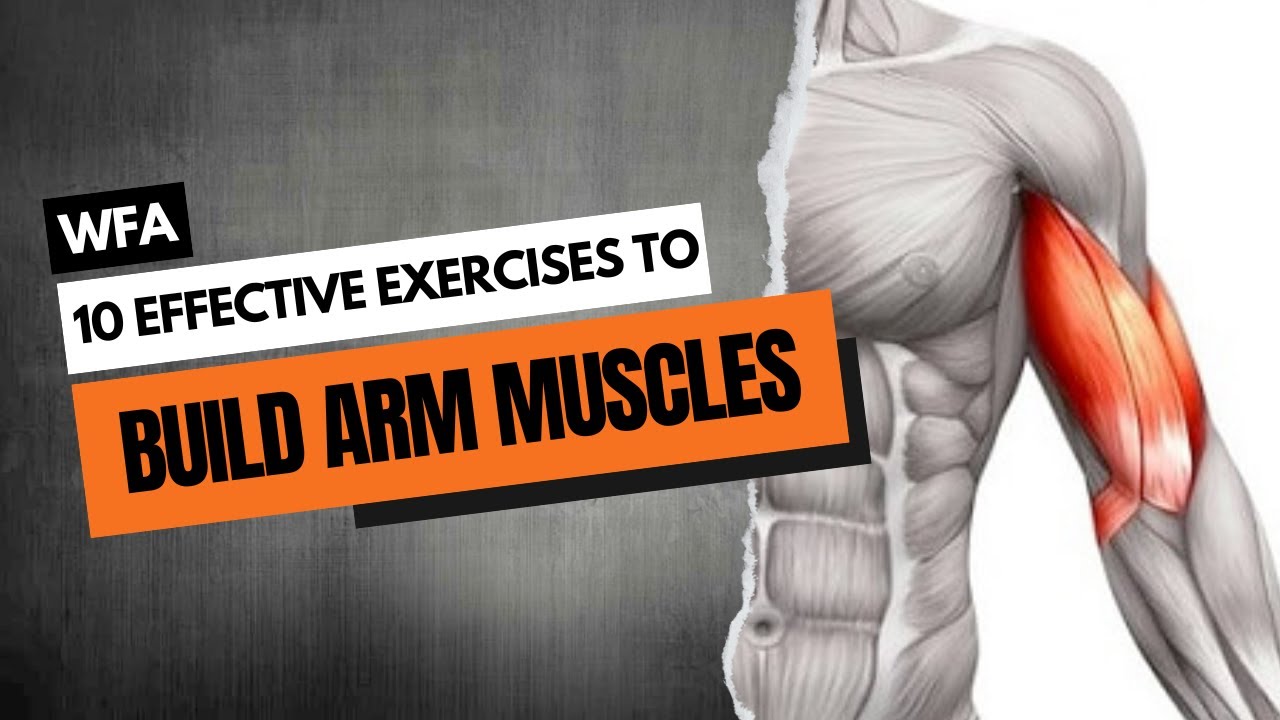 10 Effective Exercises to Build ARM Muscles - YouTube