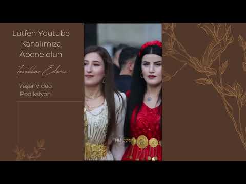 Kurdish Wedding Dance