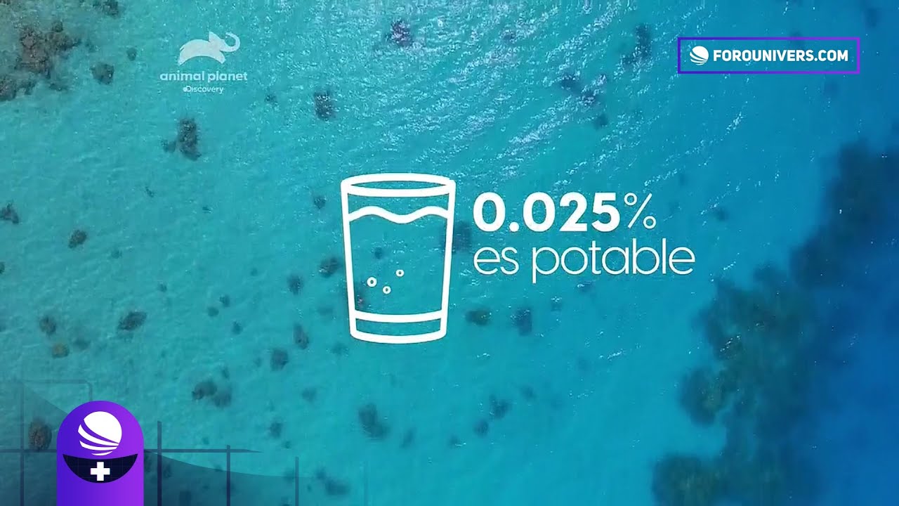 Promo Agua Potable | Animal Planet | 2023 - YouTube