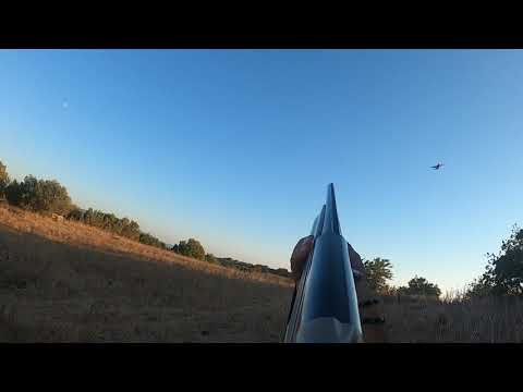 ΚΥΝΗΓΙ ΤΡΥΓΟΝΙΟΥ-TORTORA HUNTING 2020, ( BENELLI RAFAELLO DELUXE-GO PRO ...