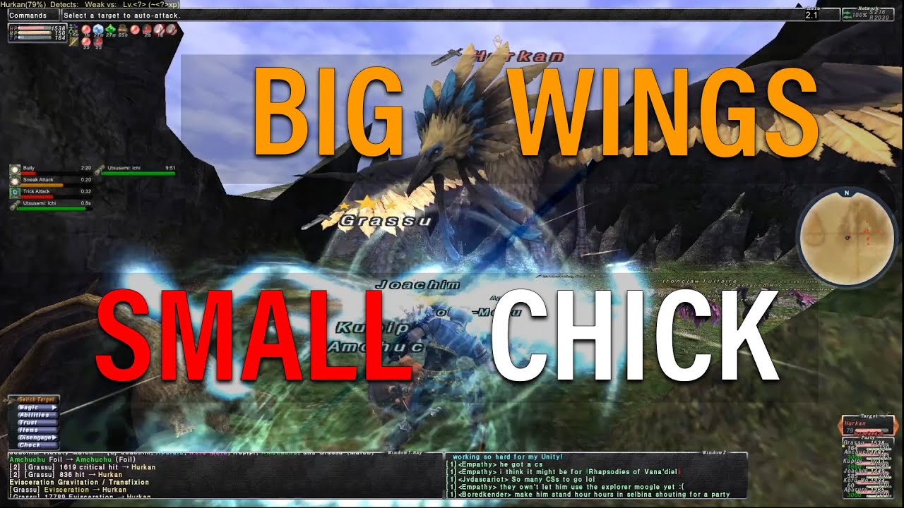 FFXI Marjami Ravine Wildskeeper Reive Hurkan Fight - Thief Ninja with ...