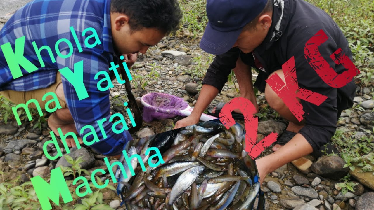 Khola ma machha mardai | Traditional fishing in Nepal #traditional # ...