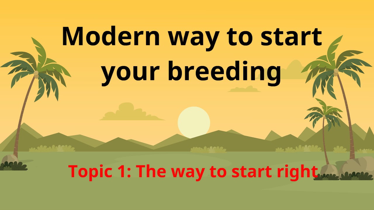 Modern way to start your breeding - YouTube