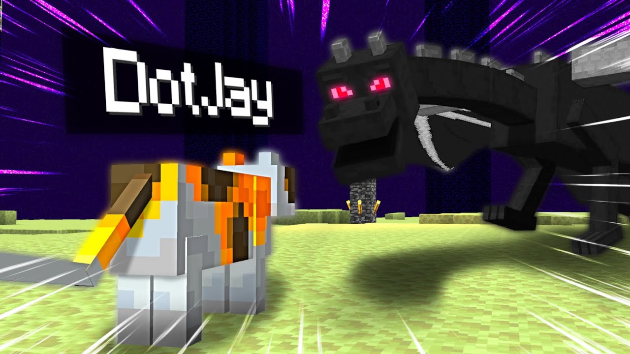 Can A Cat Beat Minecraft? - YouTube