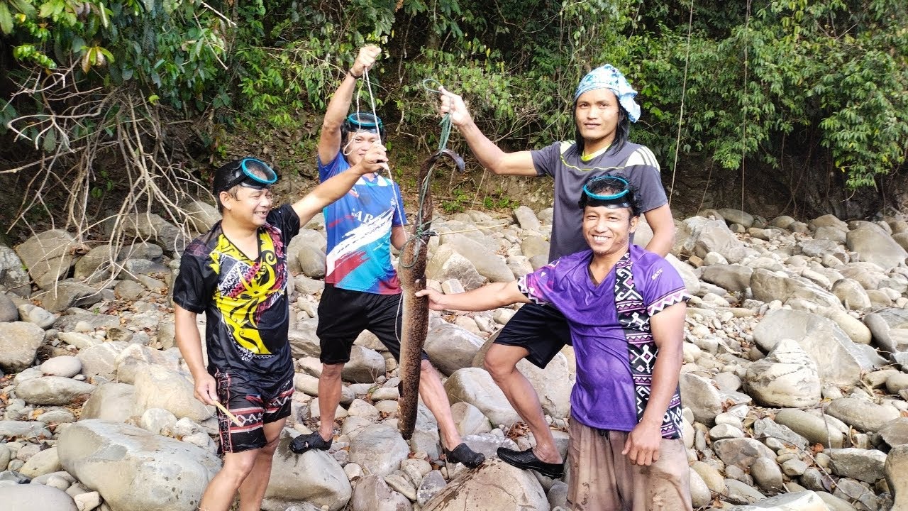 aktiviti di sungai musim kemarau mencari sidat/sinsilog - YouTube