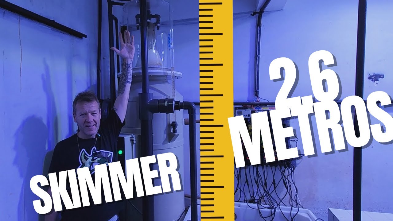 Como funciona um Skimmer de 2,6 metros de altura - YouTube