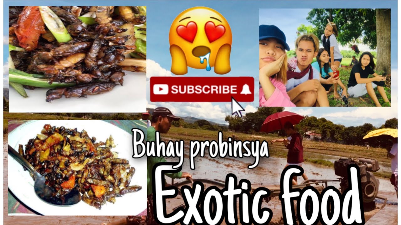 EXOTIC FOODS, ARARAWAN/KAMARU(MOLE CRICKET) - YouTube