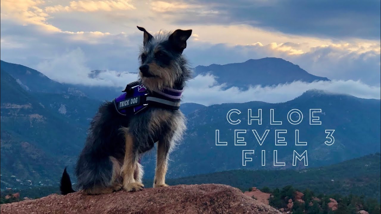 Level 3 - Film - Blue Card - The Flopdoodle Chloe Bean - YouTube