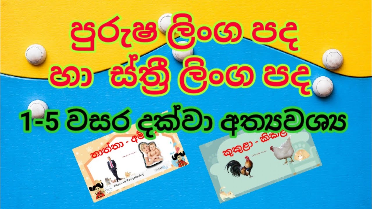 පුරුෂ ලිංග පද හා ස්ත්‍රී ලිංග පද|male words and female words in sinhala ...