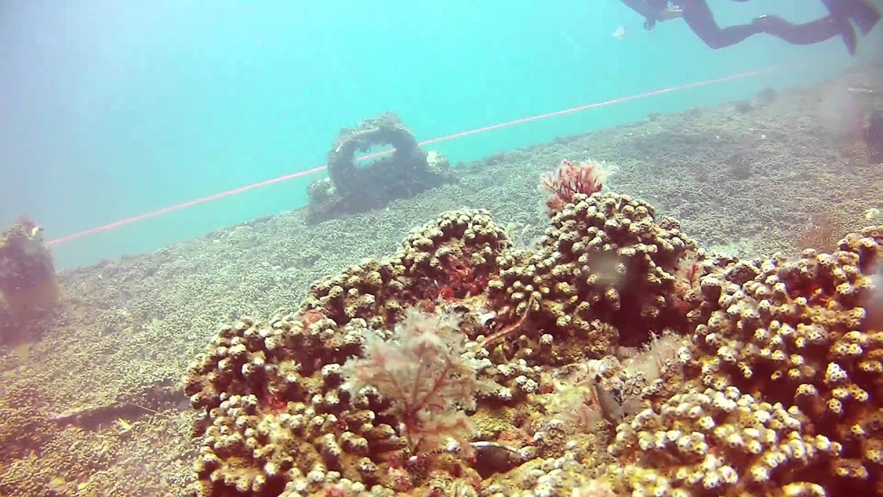 USS Indra Aug 2015 - YouTube