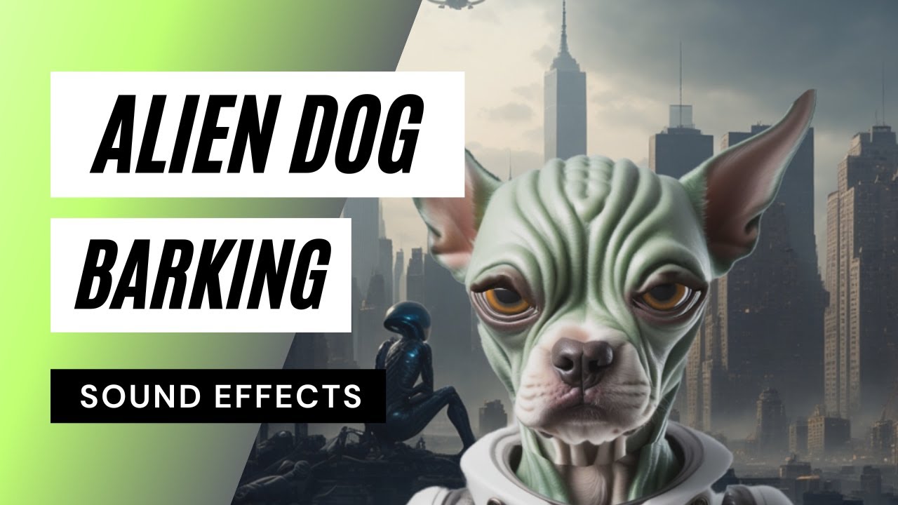 Alien Dog Barking - see who is coming ? #barking #alien #dog - YouTube