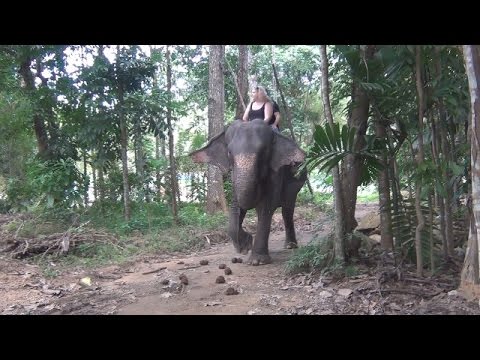 Colombo, Sri Lanka  - A day trip to Kandy Part 1