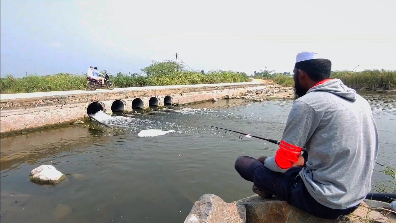 How to Catch Tilapia Fish | Best Tilapia Fishing Videos | Village River ...