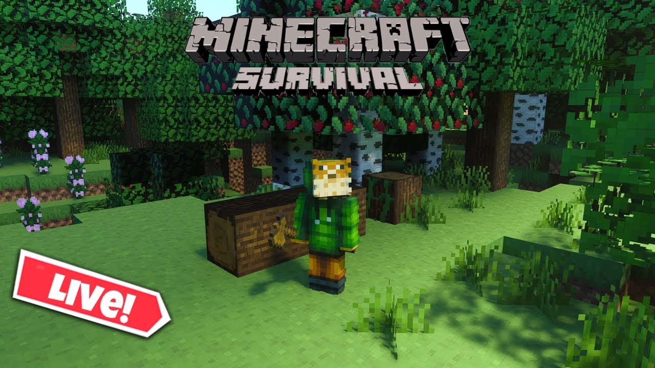 Minecraft Survival Livestream - Viewers Choose What I Do!? - YouTube