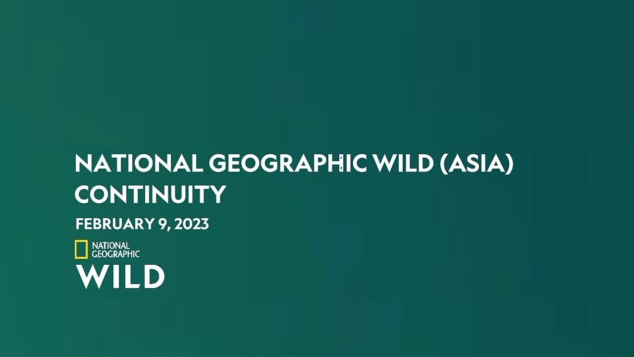 National Geographic Wild (Asia) Continuity (February 9, 2023) - YouTube