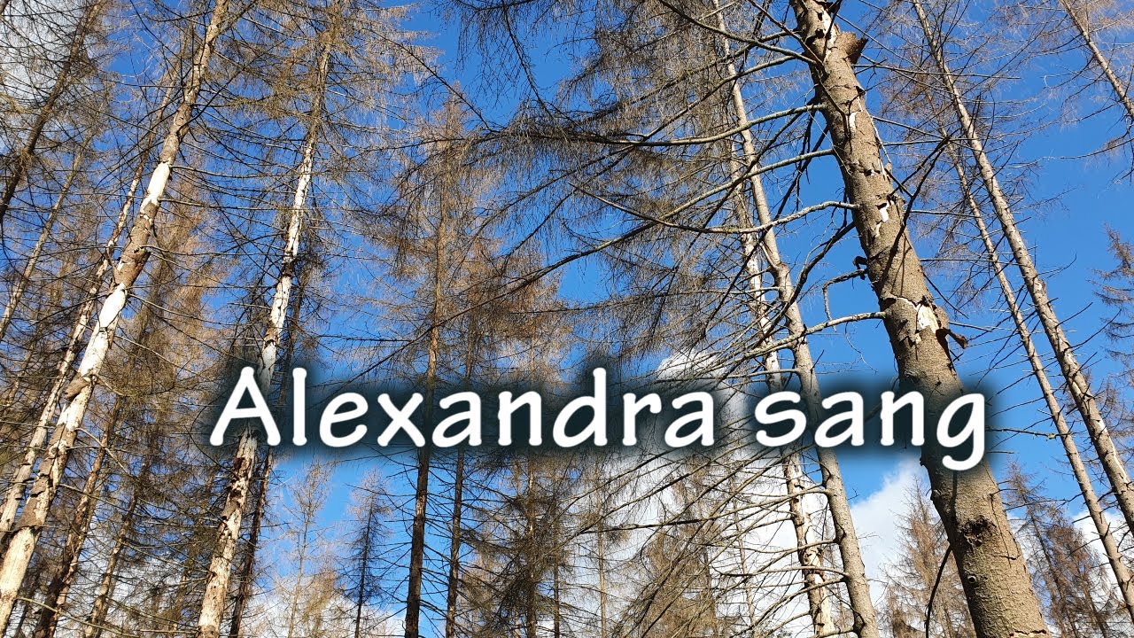 Alexandra sang - Tink Original - YouTube