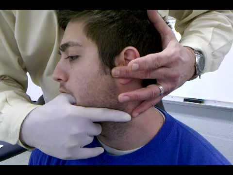 TMJ caudal anterior glide - YouTube