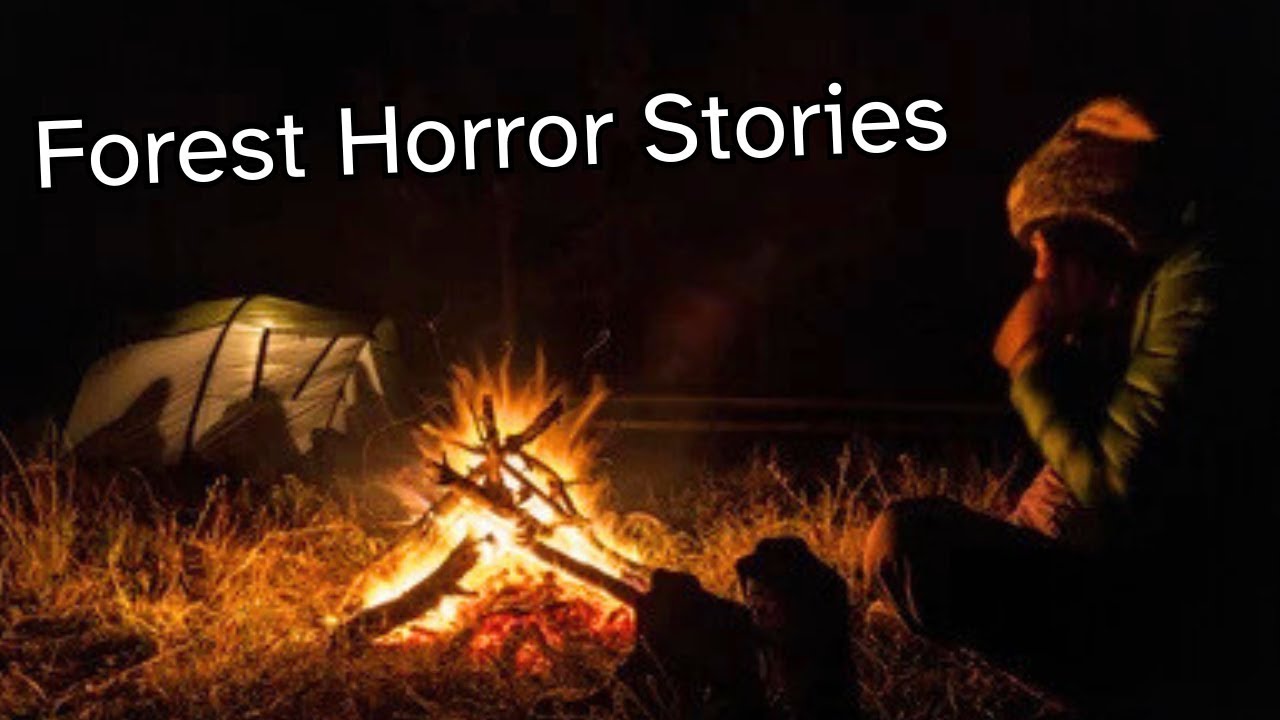 5 Chilling And Disturbing TRUE Forest Horror Stories! - YouTube