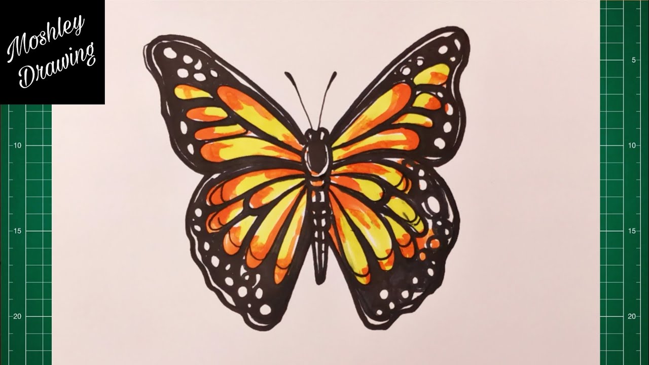 How to Draw a Monarch Butterfly - YouTube