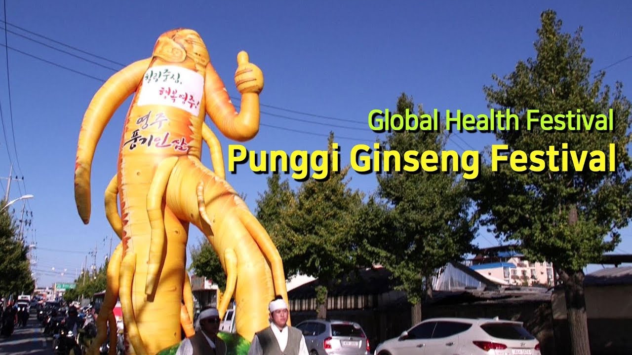 Punggi Ginseng Festival held in Gyeongbuk Province - YouTube