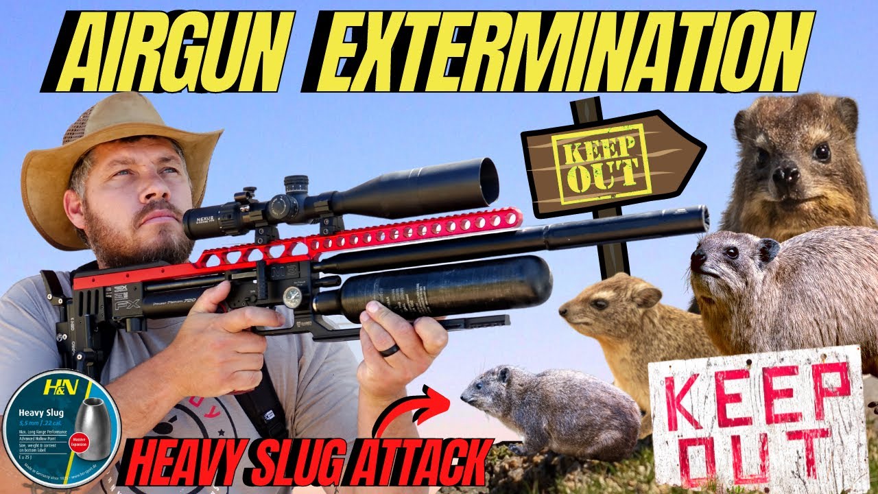 AIR GUN PEST EXTERMINATION I LONG RANGE AIR GUN SLUG ATTACK I FX IMPACT ...