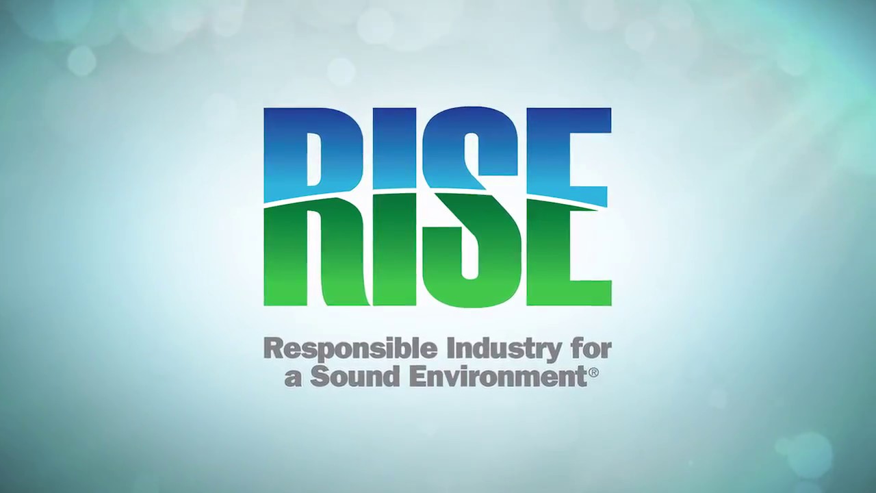 RISE Logo Animation - YouTube