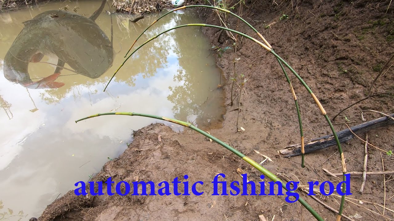 Auto fishing hook Survival skills using automatic fishing rods - YouTube