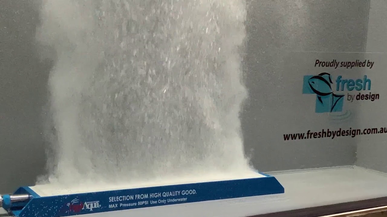 Angel Aqua Flat Ceramic Oxygen Diffuser - Freshwater - YouTube