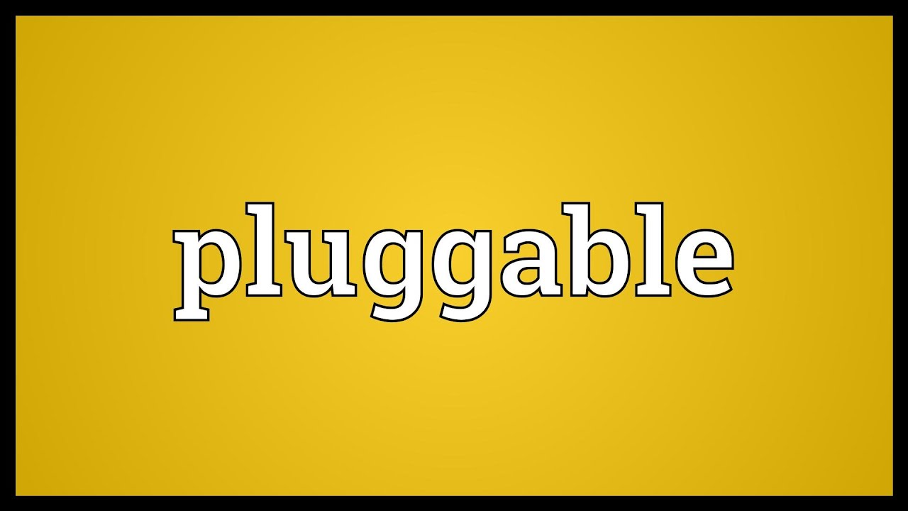 Pluggable Meaning - YouTube
