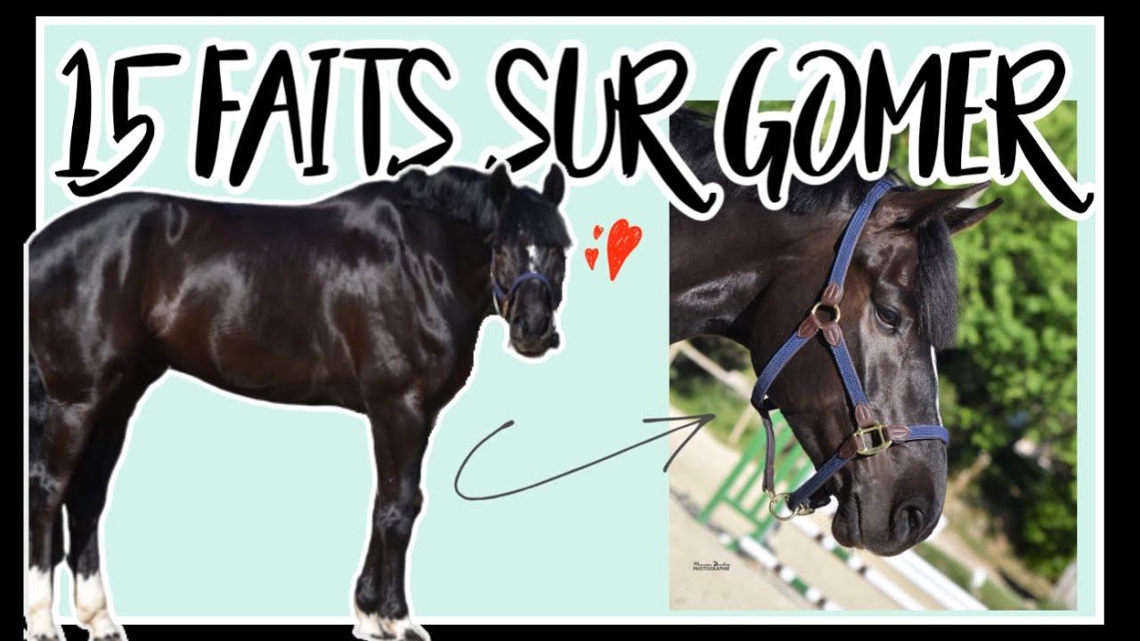 15 FAITS SUR GOMER! - YouTube