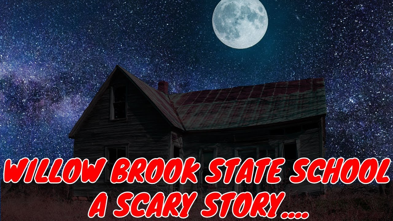 Willowbrook State School documentary streaming|horror school story| willowbrook state school ...