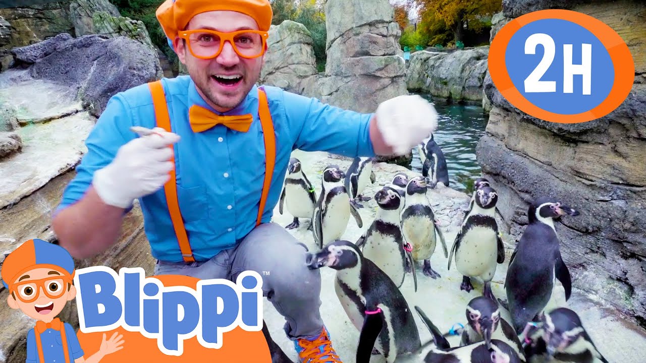 Colorful Zoo Adventure | Blippi's Colorful Fun! | Blippi Adventures ...