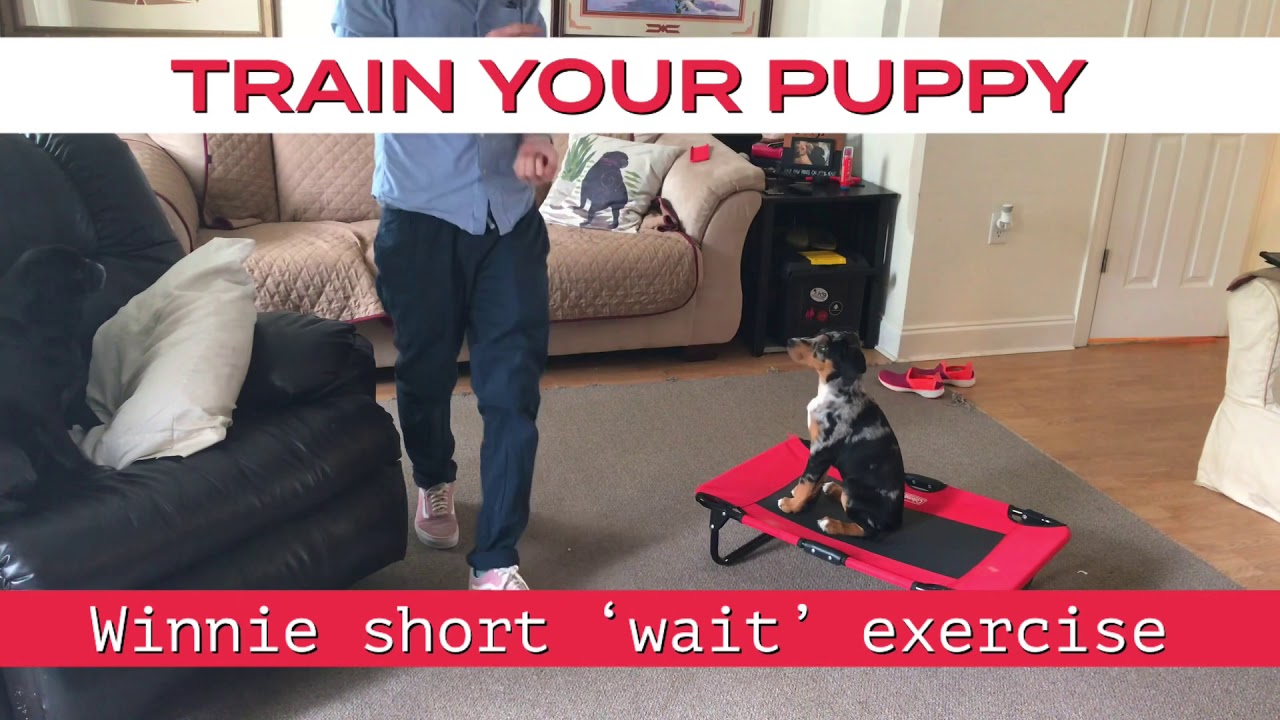 Short duration exercise with Winnie - YouTube