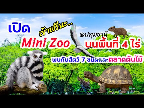 Update ความคืบหน้าโครงการ Mini Zoo เขาดินแห่งใหม่ | ณชาทำมายย - YouTube