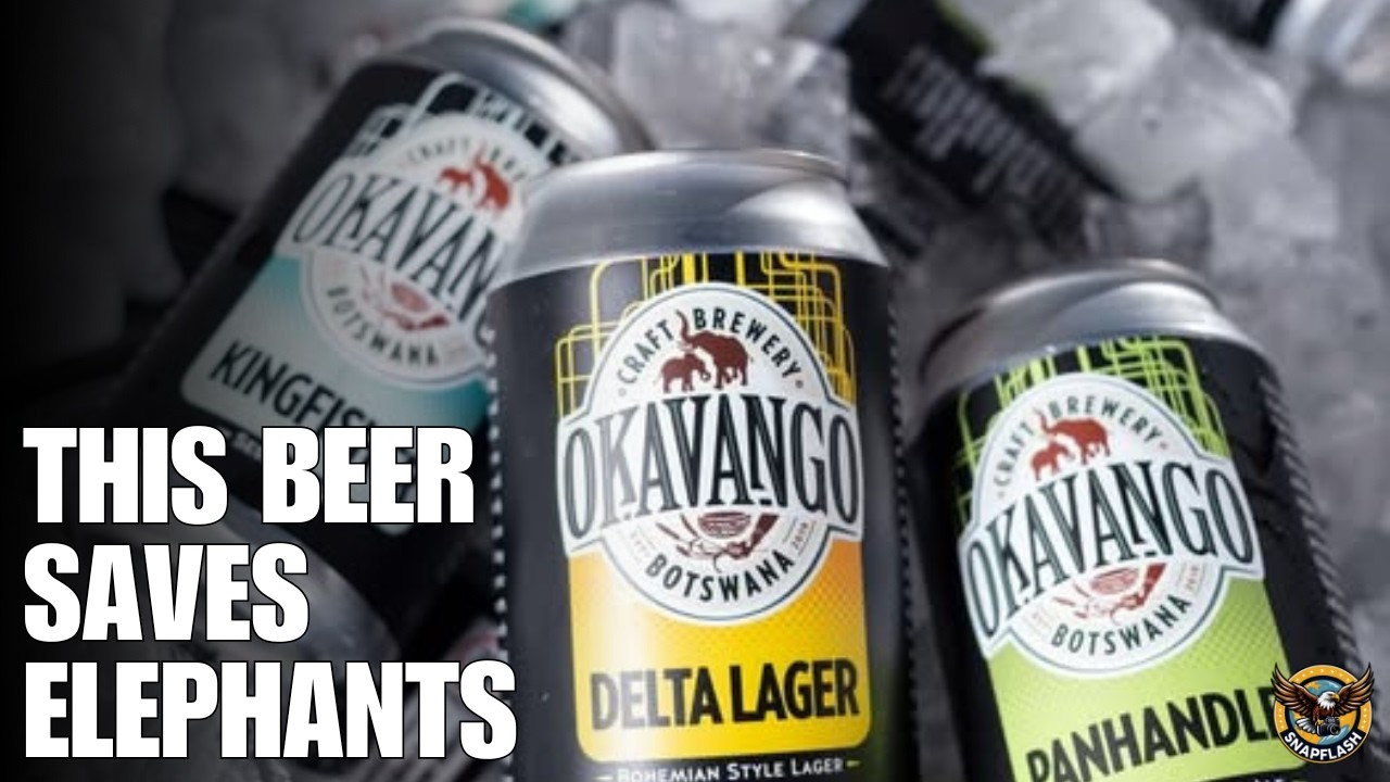 Botswana’s Award-Winning Beer That’s Saving Elephants & Empowering ...