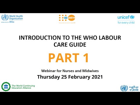 INTRODUCTION TO THE WHO LABOUR CARE GUIDE part 1 - YouTube
