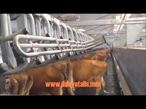 Parallel Milking Parlor - DBL 50 Turner Parallel Vertical Lift - YouTube