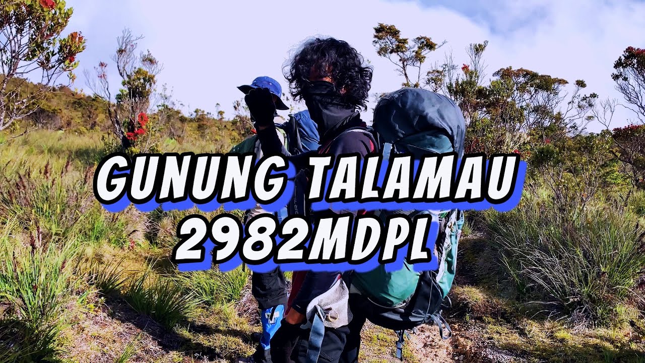 Pendakian Atap Sumatera Barat - Gunung TALAMAU 2982 mdpl - YouTube