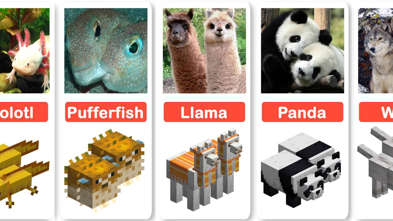 Minecraft Animals Males and Females in Real Life – Comparison - YouTube